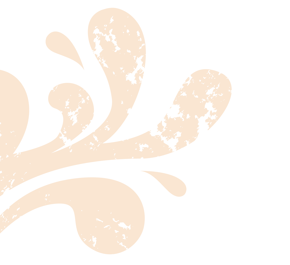 AYMES Shake - Oral Nutritional Supplement - AYMES Nutrition