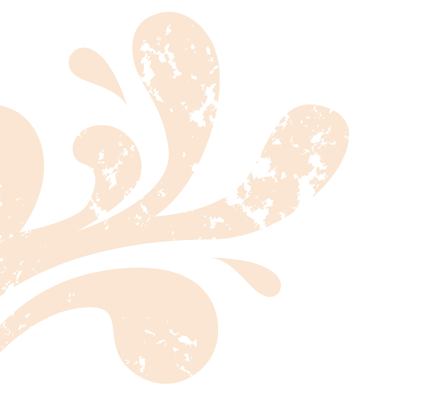 AYMES Shake - Oral Nutritional Supplement - AYMES Nutrition